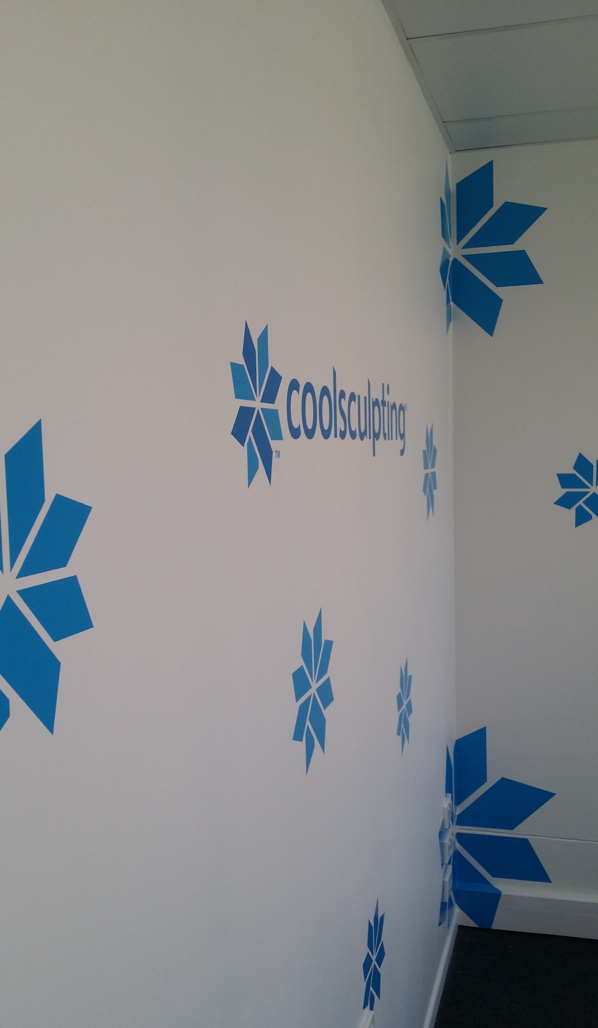 Vinyl Cut Graphics – Brisbane City | Linehouse Graphics