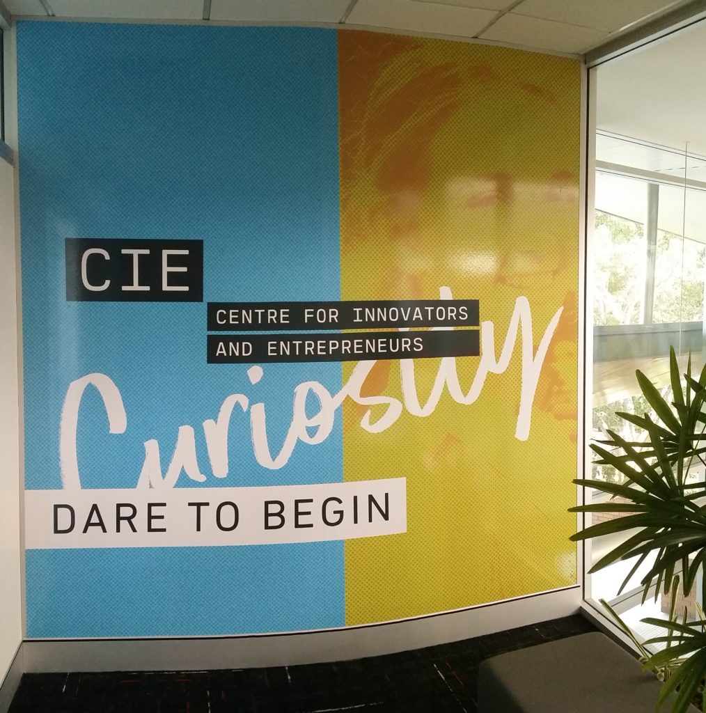 school Windows and wall graphics – bald hills north brisbane ...